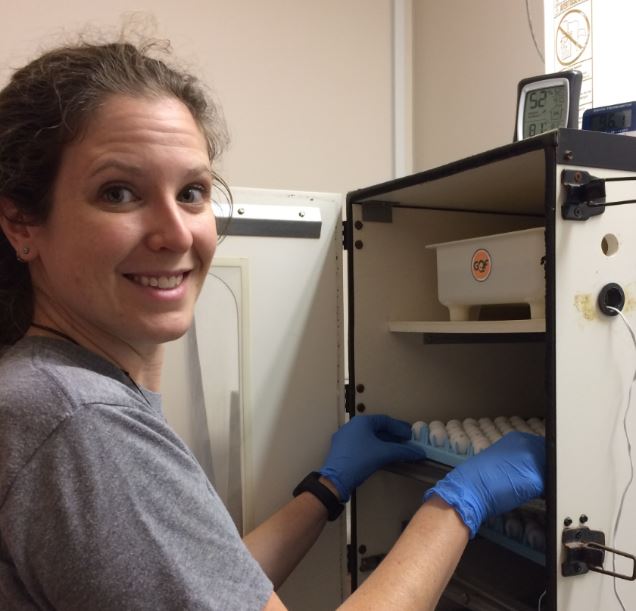 Education – Sutton Center