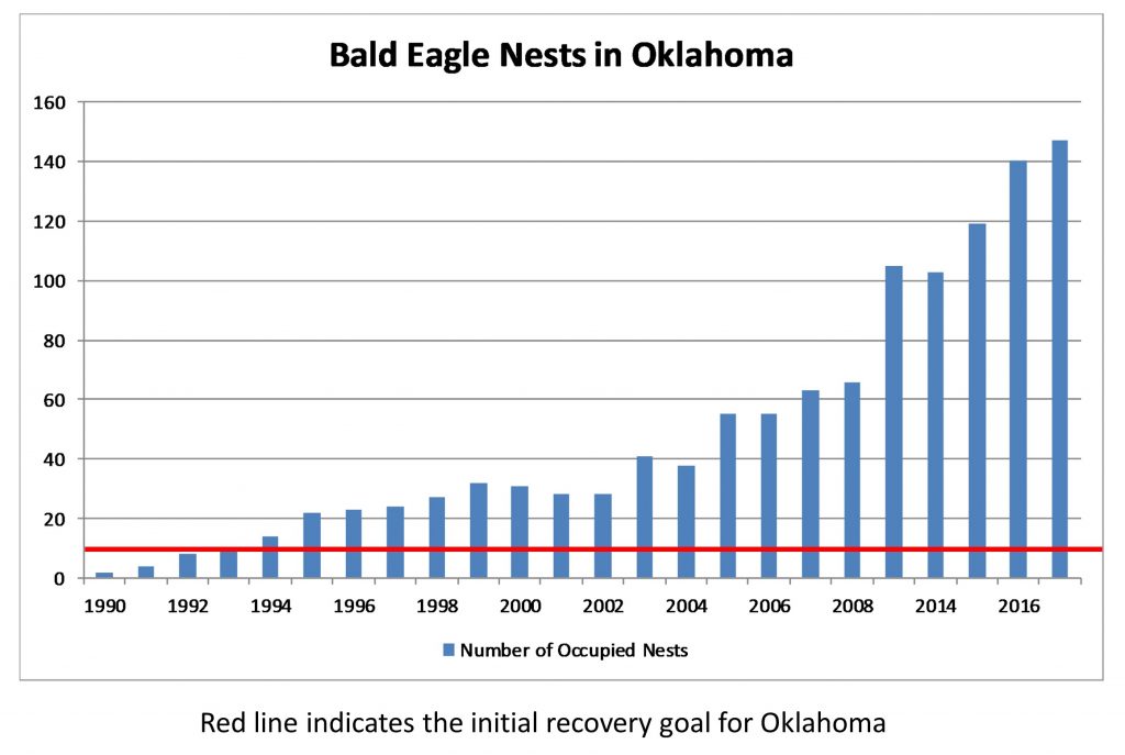 Bald Eagle Recovery – Sutton Center